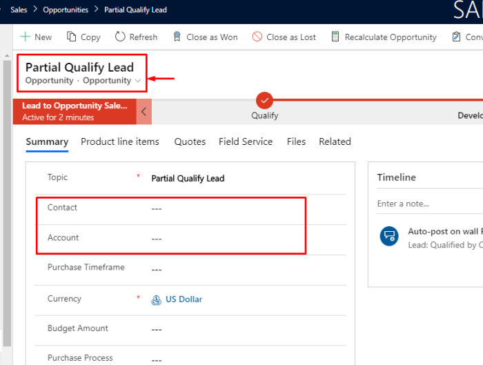 Qualify Lead in D365 CE: Select which entity records should be created ...